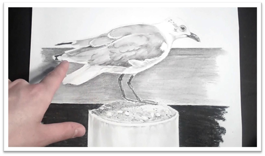 Animal Mastery Online Version - Drawing Made Easy