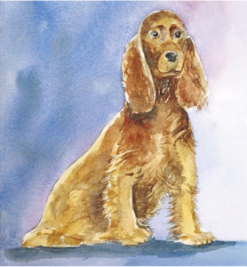 Members - Painting Dogs - Drawing Made Easy